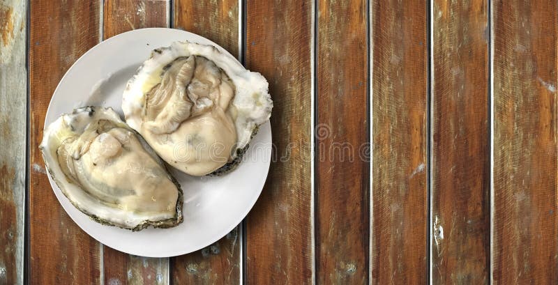 Oyster shell stock photo. Image of cook, shell, food - 58496804