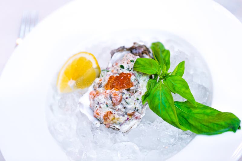 Oyster Tartare with Basil on Ice. Stock Photo - Image of cold, oysters ...