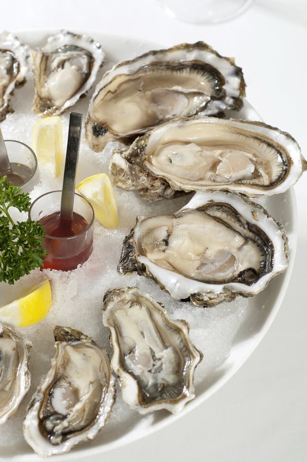 Oysters stock photo. Image of oyster, rustic, restaurant - 4479856