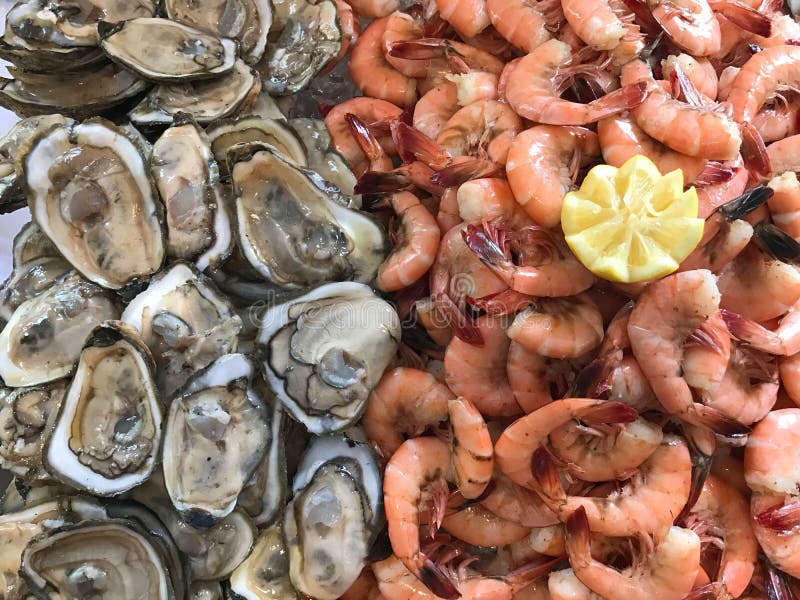 Fresh Seafood for Appetizers Stock Photo - Image of seafood, luxury ...