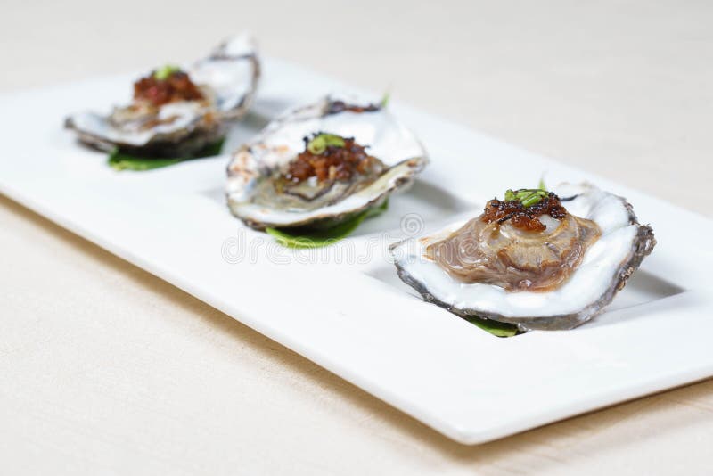 Oysters on the Half Shell stock image. Image of fried - 116264915