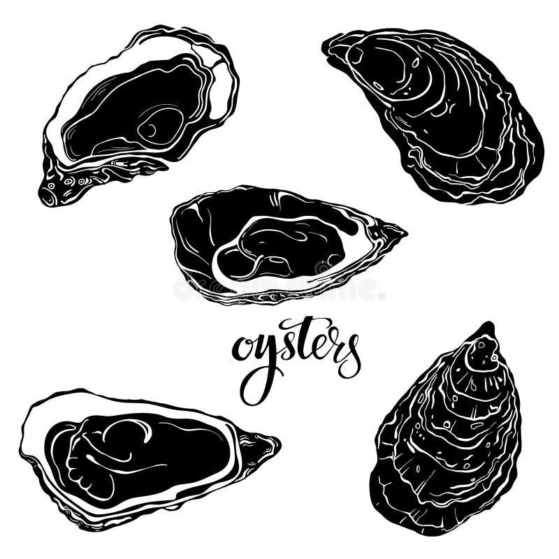 Oysters, Hand Drawn Vector Set of Templates for Menu Design, Packaging ...