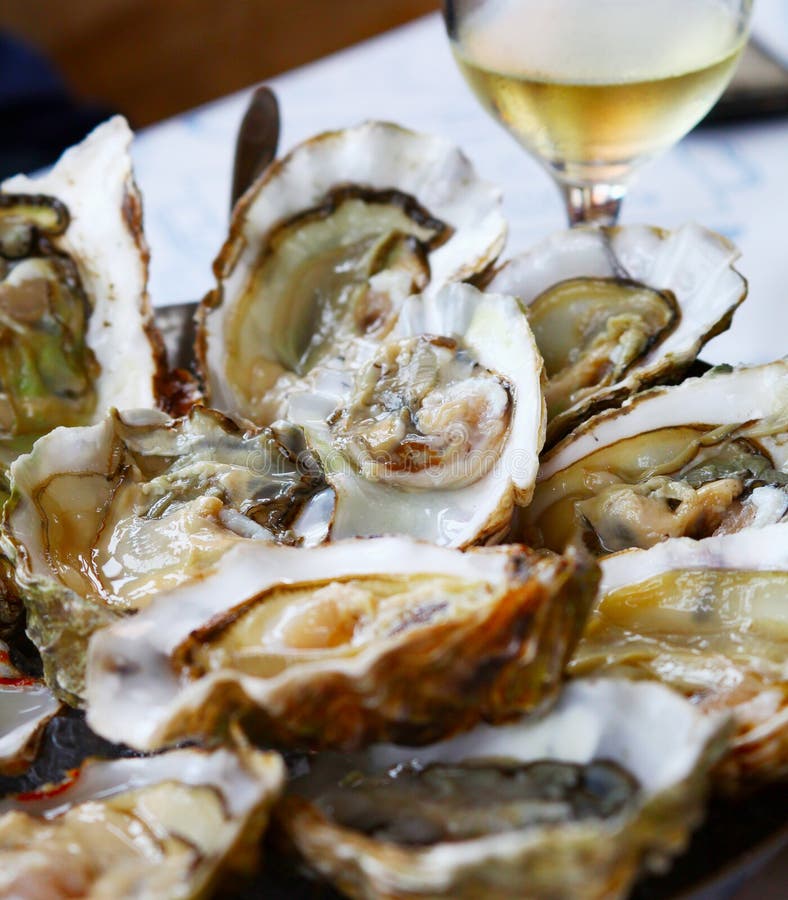 Fresh Oysters stock photo. Image of lemon, salt, oyster - 14666076