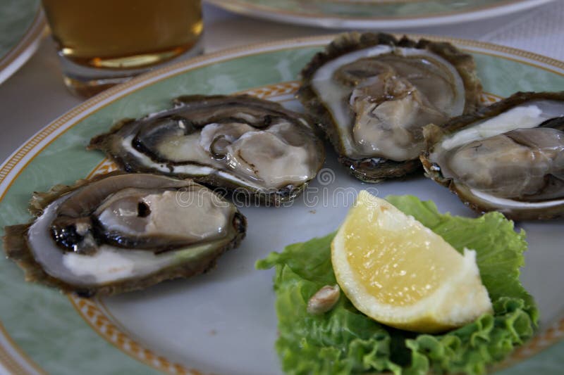Oysters and a Lemon Segment Stock Image - Image of cooking, mollusk ...