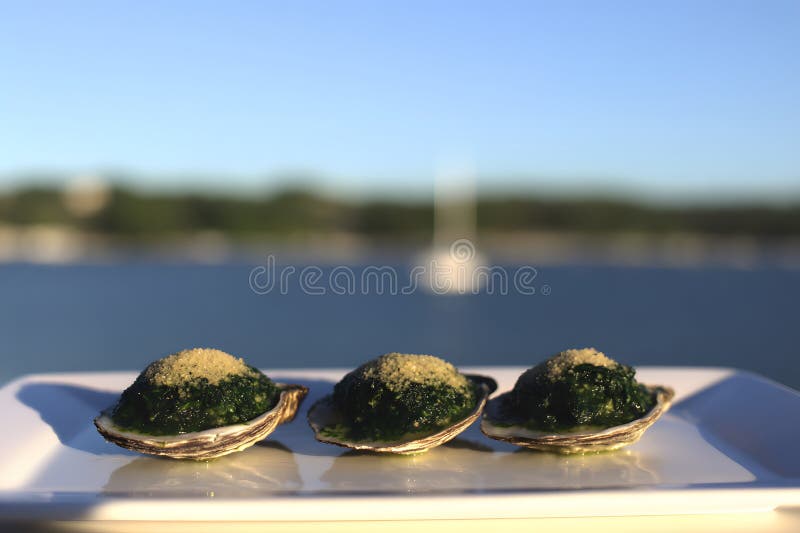 Oysters Rockefeller in Half Shell, Warm Afternoon Sun on White Plate ...