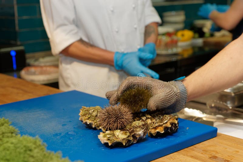 Oysters and Sea Urchins on Kitchen Table Stock Image - Image of glove ...