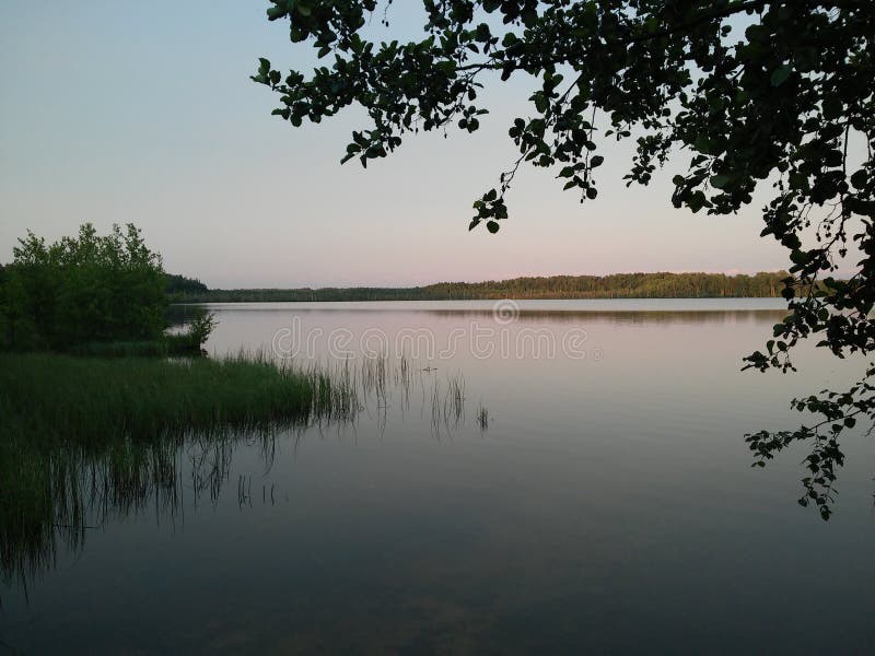 Ozero stock image. Image of lake, summer, belarus, evening - 55997465