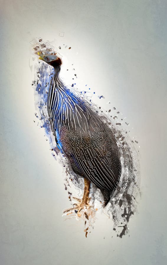 Pájaro, Concepto Animal Abstracto Stock de ilustración - Ilustración de ...