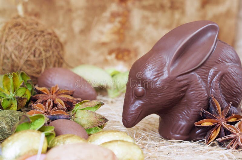 Maior Bilby - Marsupial Nativo Australiano Foto de Stock - Imagem de ...