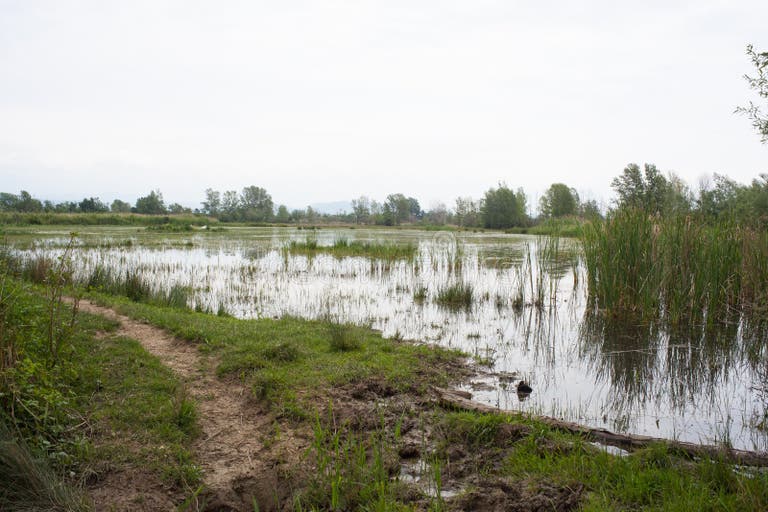 605 Fotos de Stock de Cona - Fotos de Stock Gratuitas e Sem Fidelização ...