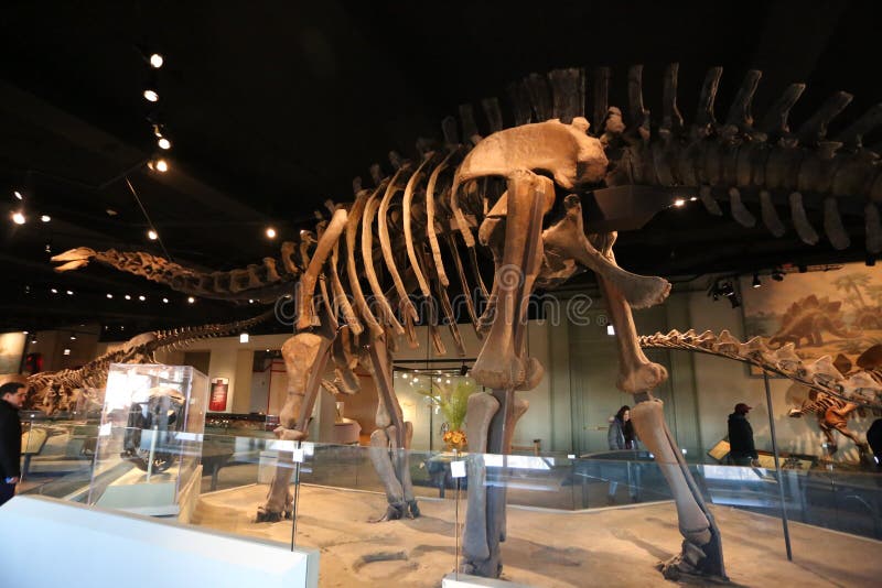 Période jurassique photo stock éditorial. Image du mètres - 110255198