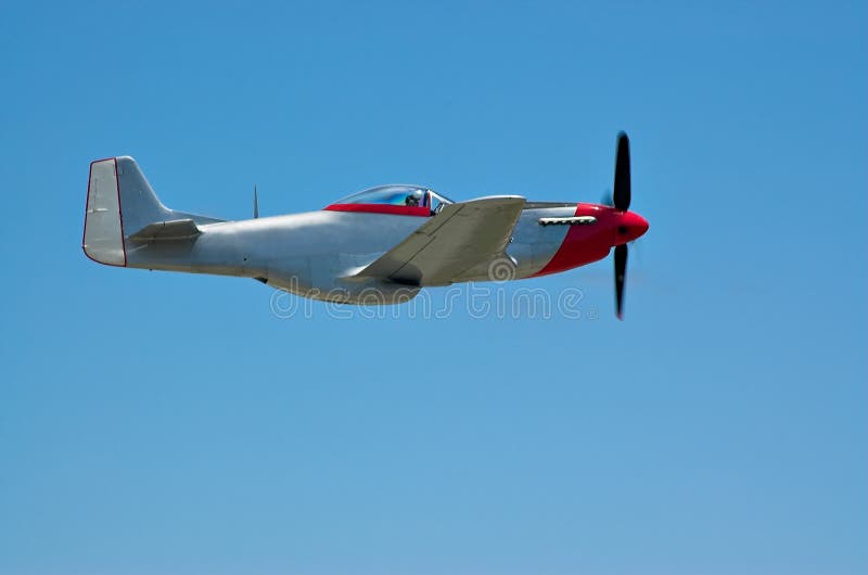 P Two Wings Stock Photos - Free & Royalty-Free Stock Photos from Dreamstime