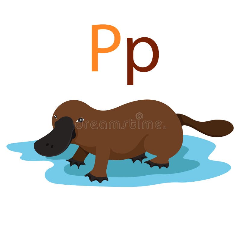 P alphabet vector animal stock vector. Illustration of iguana - 116453250