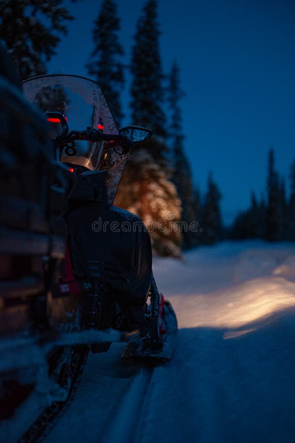 Snowmobile Ride through the Boreal Forest of Northern Sweden Stock ...