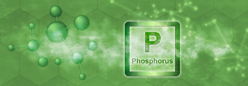 P Phosphorus Stock Illustrations – 123 P Phosphorus Stock Illustrations ...