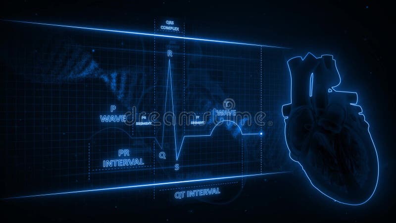 P Wave from Electrocardiogram Wave or ECG or EKG Stock Video - Video of ... P Wave from Electrocardiogram Wave or ECG or EKG Stock Video - Video of ...