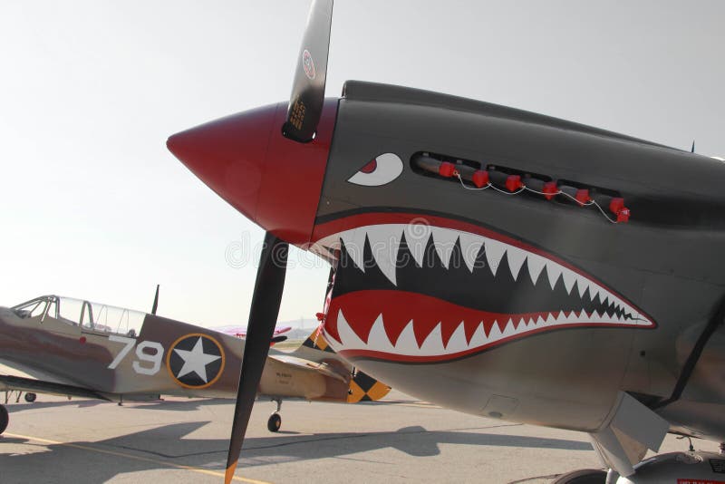P-40 Warhawk stock photo. Image of ground, propeller - 41448052