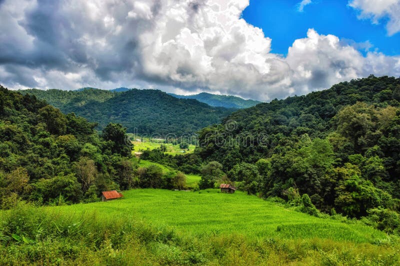 Pa Pong Pieng , Mae Chaem, Chiang Mai, Thailand Stock Photo - Image of ...