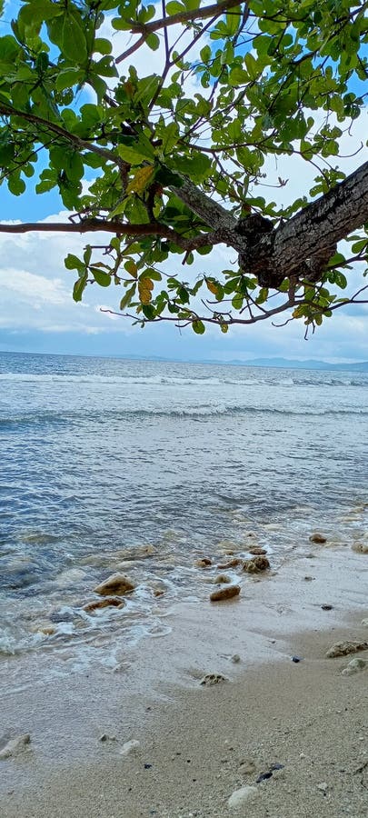 Paal Beach amazing beach stock photo. Image of river - 244858778