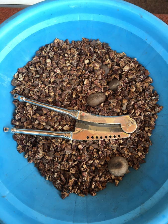 2,098 Paan Supari Stock Photos - Free & Royalty-Free Stock Photos from Dreamstime