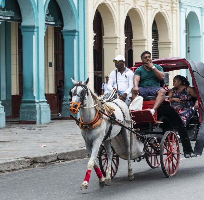 Paard En Met Fouten Met Toeristen in Oude Havana Cub Redactionele Foto ... Paard En Met Fouten Met Toeristen in Oude Havana Cub Redactionele Foto ...