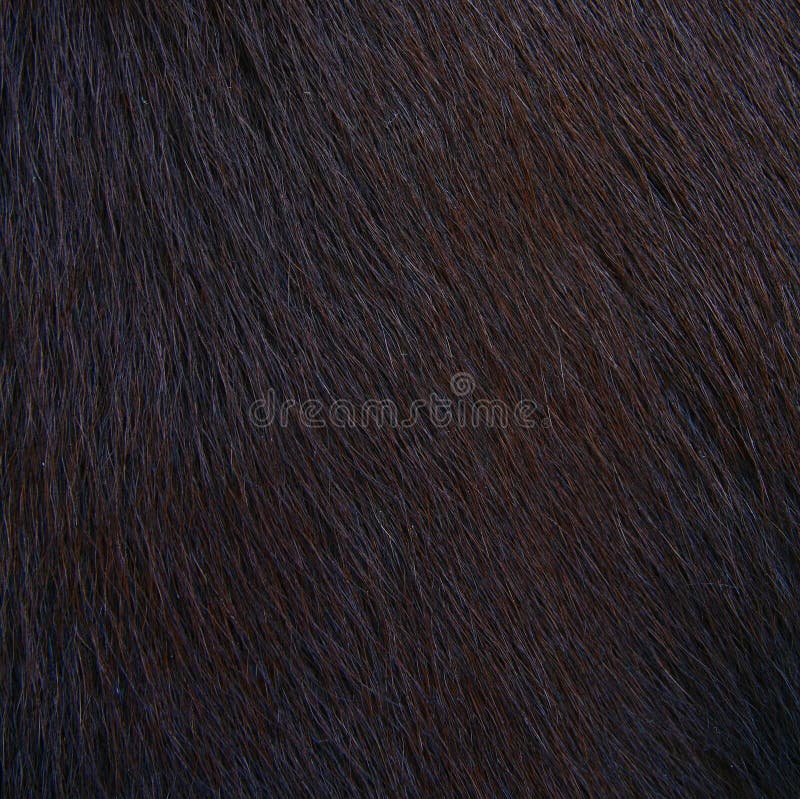 Paardenhaar textuur stock foto. Image of harig, grijs - 34115074
