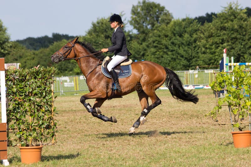 Paard Die - Pedro Veniss Springen Redactionele Stock Afbeelding ...