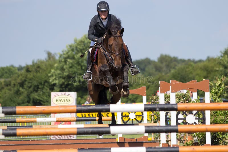 Paard het springen redactionele afbeelding. Image of levensstijl - 32885270