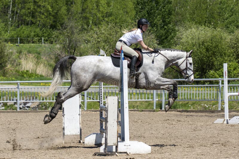 Paard het springen redactionele stock foto. Image of springen - 41046228