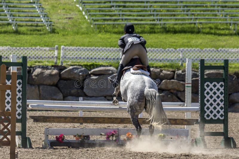 Paard het springen redactionele afbeelding. Image of hoog - 41046305