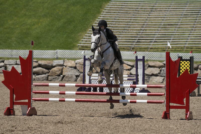 Paard het springen redactionele fotografie. Image of kampioenschap ...