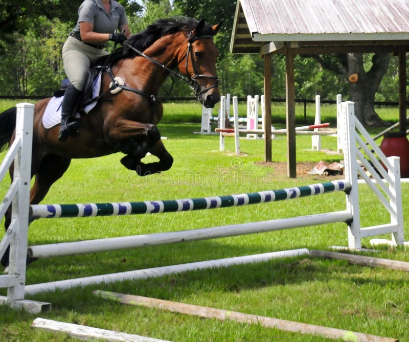 Paard Het Springen Hindernissen Redactionele Fotografie - Afbeelding ...