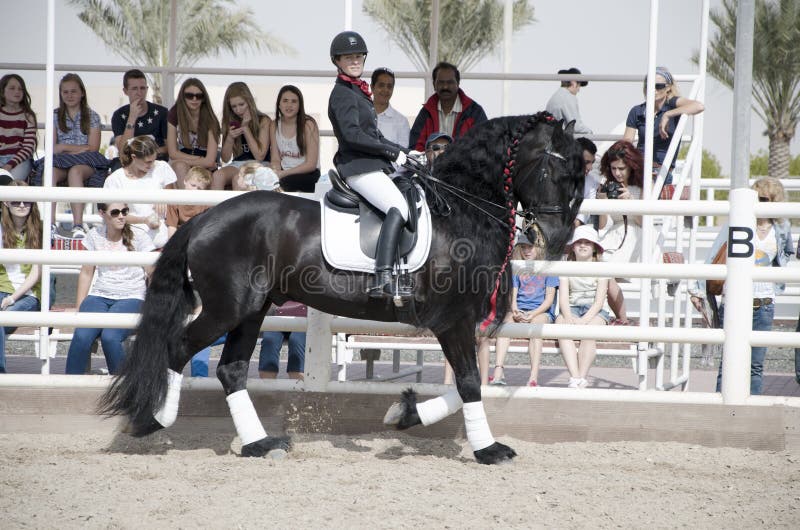 Paard Springend Kampioenschap Redactionele Stock Afbeelding - Image of ...