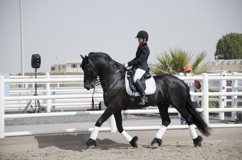 Paard Springend Kampioenschap Redactionele Stock Afbeelding - Image of ...