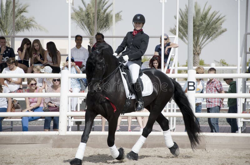 Paard Springend Kampioenschap Redactionele Stock Afbeelding - Image of ...