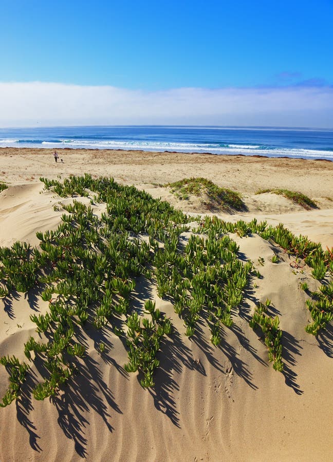 Pacific beach stock photo. Image of sunny, peaceful, beach - 17635850