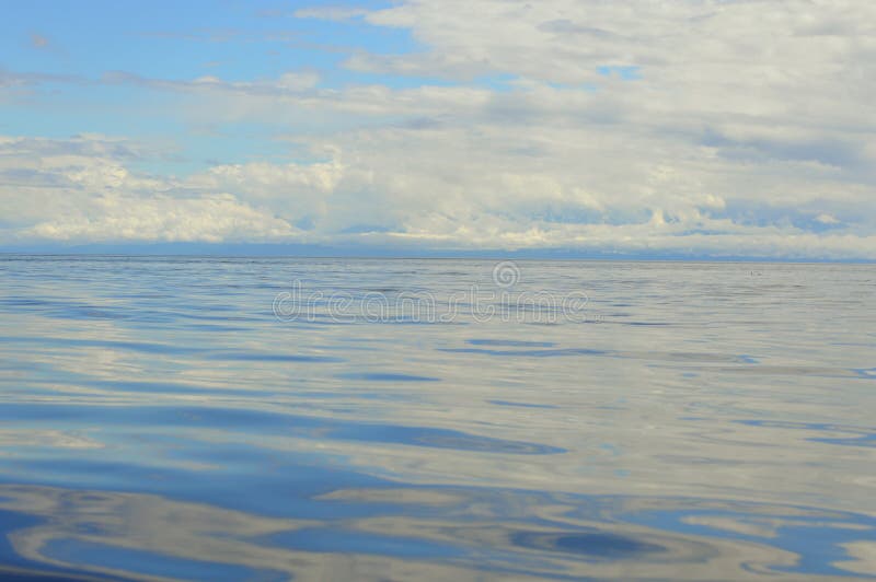 Wheedled Stock Photos - Free & Royalty-Free Stock Photos from Dreamstime