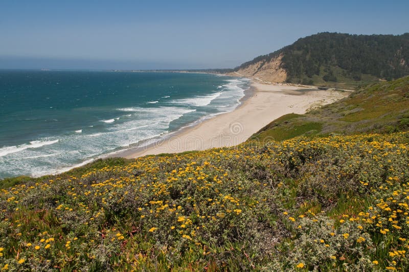 Pacifica Pier, Pacifica, California, Sea Wave Stock Photo - Image of ...