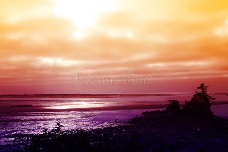 Pacific northwest ocean stock photo. Image of rocky, coast - 16529292
