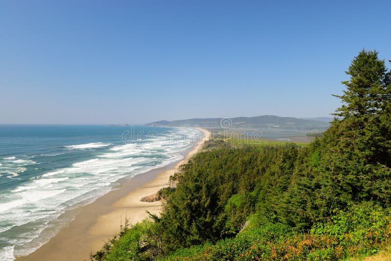 The Pacific Coast. USA. Oregon. Cape Lookout State Park Stock Image ...