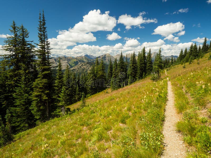 Pacific Crest Trail stock image. Image of photographed - 91018503