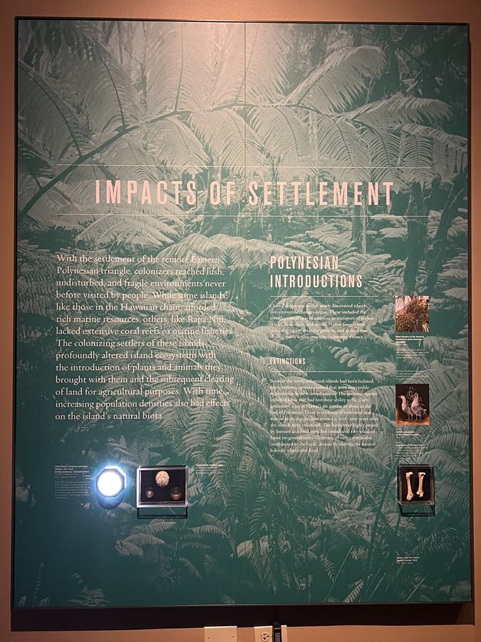 Pacific Hall at the Bishop Museum in Honolulu on Oahu, in Hawaii ...