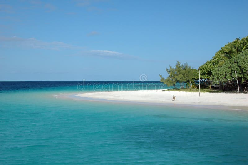 Pacific Island stock photo. Image of lagoon, beautiful - 43398874