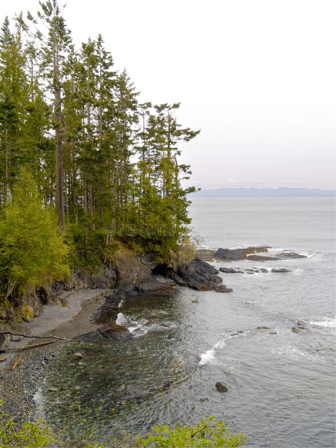 Pacific Northwest Beach stock image. Image of island, rock - 5383657