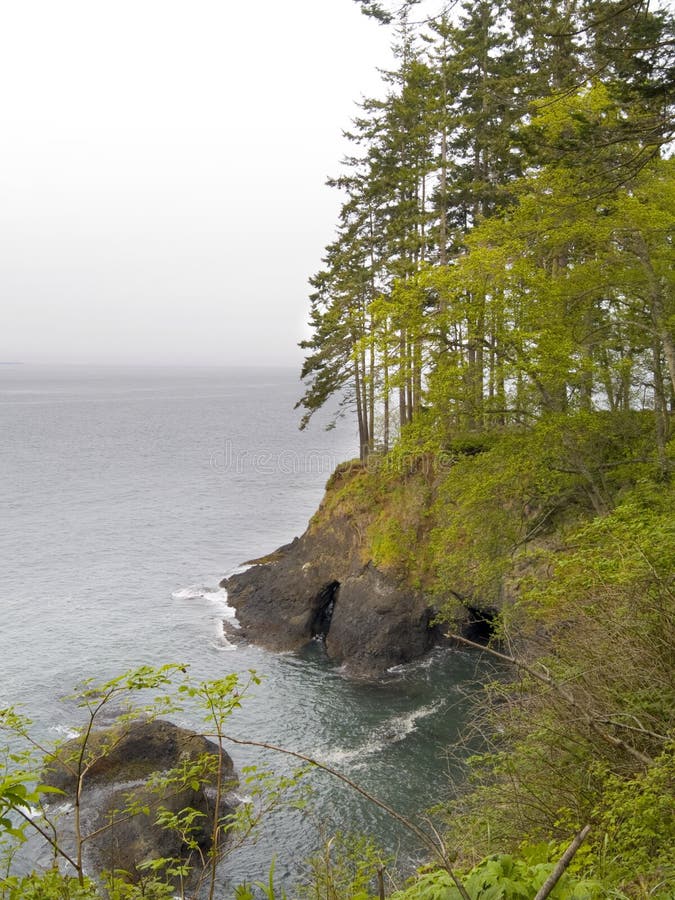 Pacific Northwest Beach stock photo. Image of shoreline - 5207838