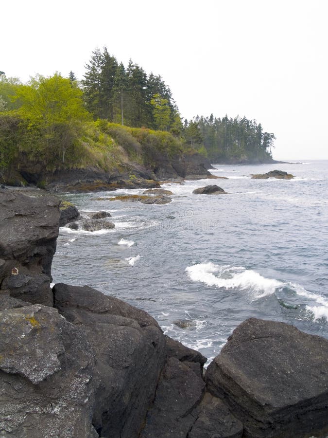 Pacific Northwest Beach stock photo. Image of shoreline - 5207838