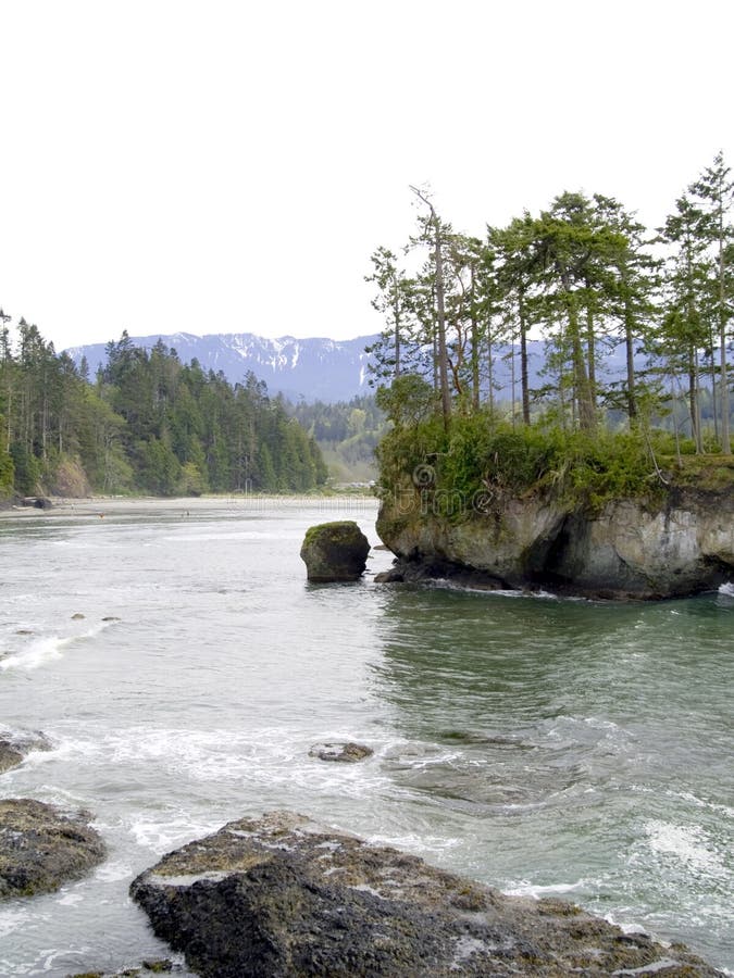 Pacific Northwest Beach stock image. Image of coast, recreation - 5277649