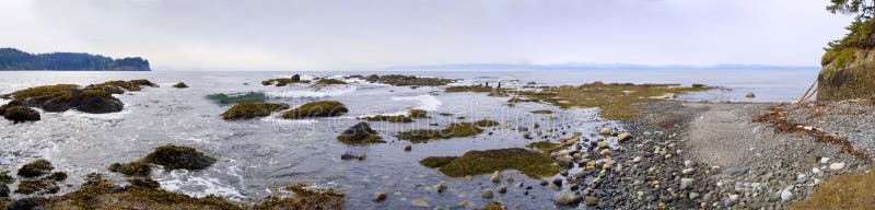 Pacific Northwest Beach Panoramic Stock Photo - Image of panoramic ...