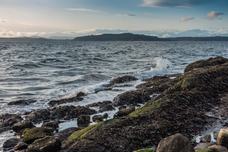 Pacific Northwest Coast Landscape Stock Photo - Image of washington ...