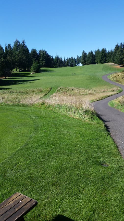Pacific Northwest Golf Course Stock Photo - Image of golf, lake: 51761148